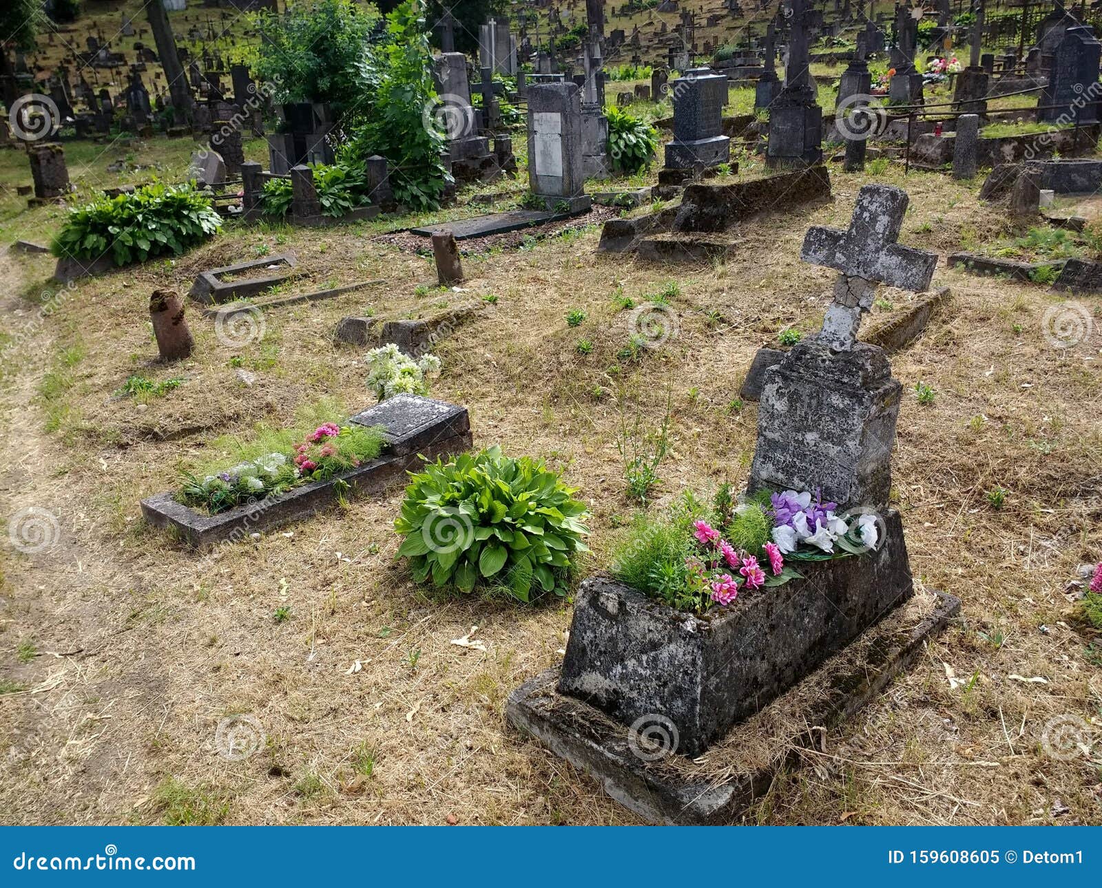 No me detendré: visitando el cementerio a pesar de la frase que enterró ...